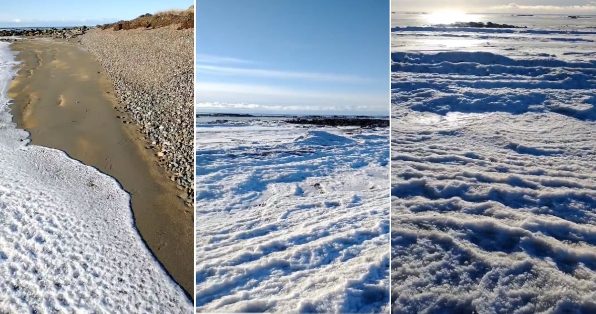 El Fenómeno de las Olas Congeladas: Un Espectáculo Natural ...